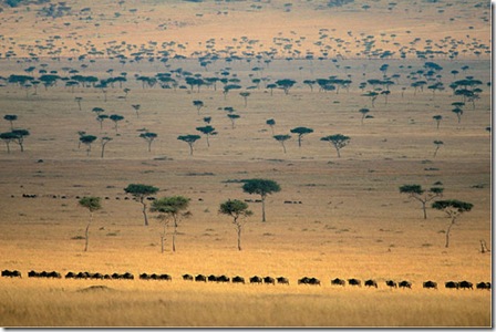 Climas Áridos - Ciencia Explicada